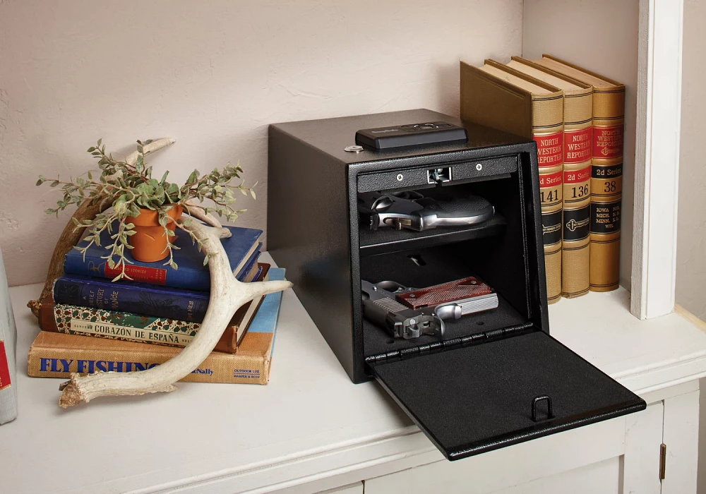 SnapSafe Biometric 2-Gun Safe | Hamilton Place