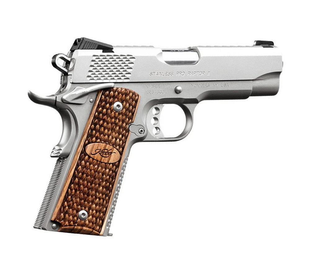 Kimber Stainless Pro Raptor II 9mm Pistol | Hamilton Place