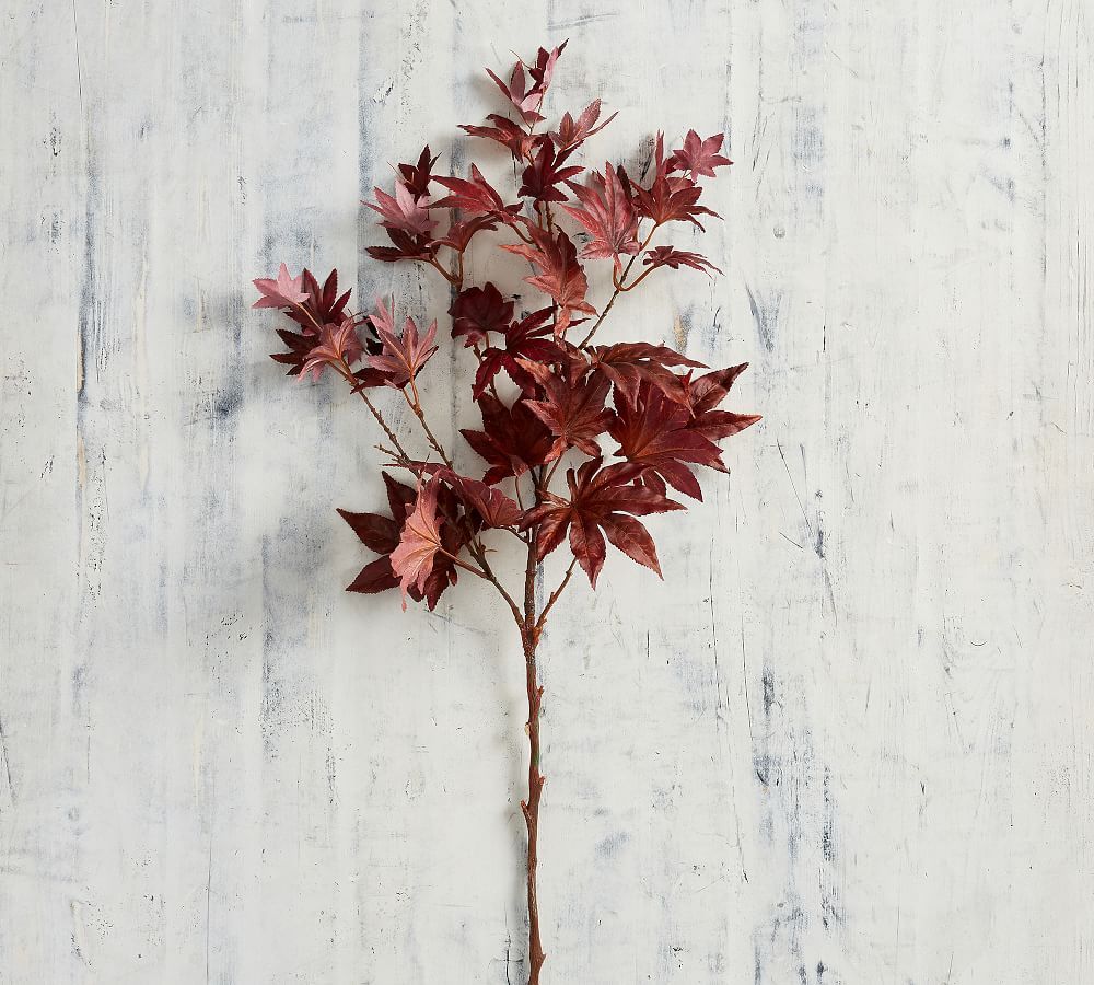 Red Maple Branch