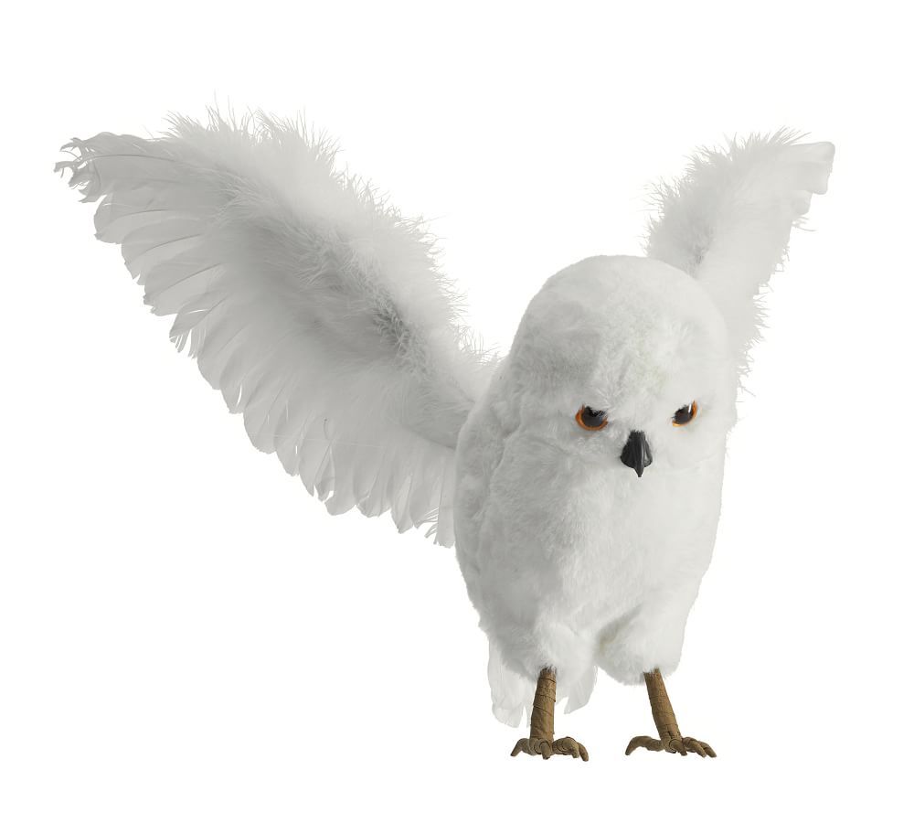 Hedwig Flying Harry Potter