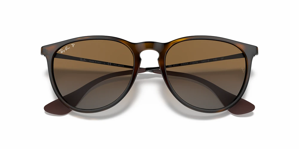 Ray-Ban RB4171 Erika Classic | Mall of America®