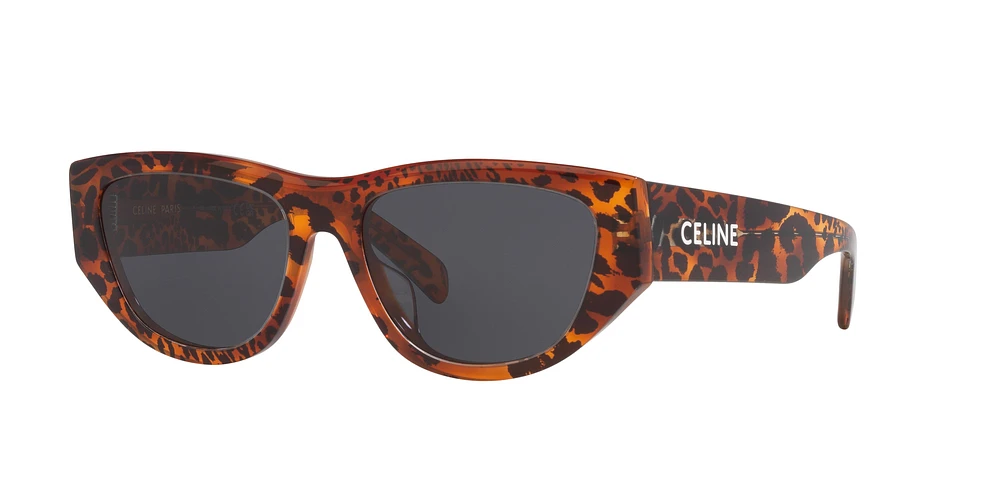 Iconic celine sunglasses store