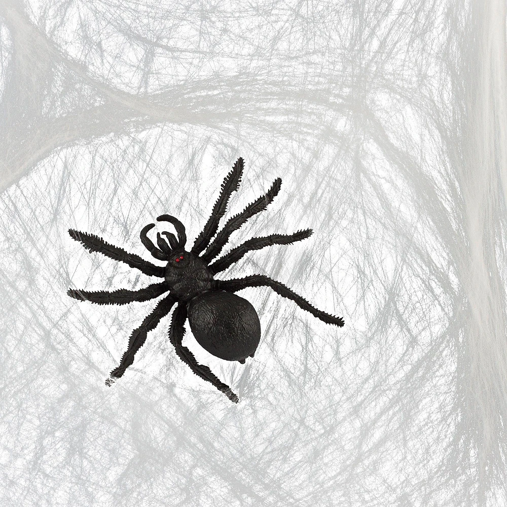 PartyCity Big Spider & Web | Hamilton Place