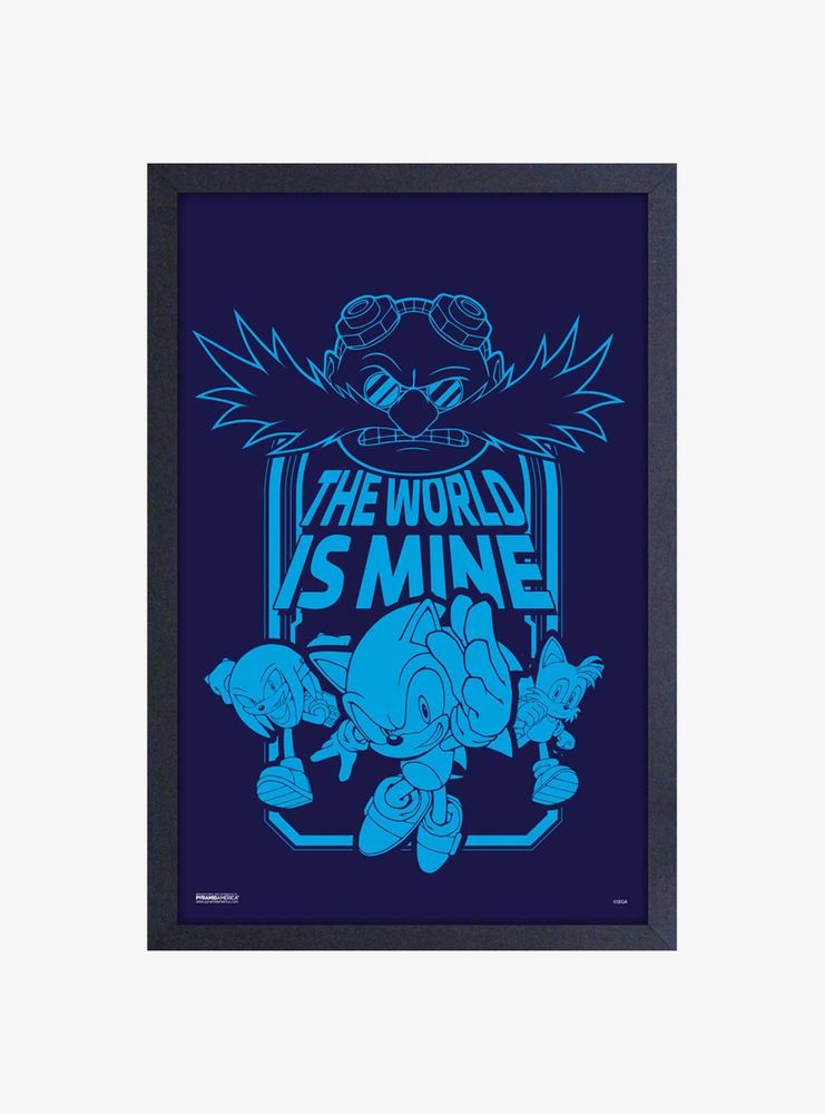 Sonic the Hedgehog World is Mine Framed Wood Wall Art | Mall of America®
