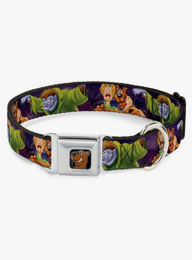TV Scooby-Doo! Shaggy Hugging Werewolf Man Seatbelt Buckle Dog Collar | Hamilton Place