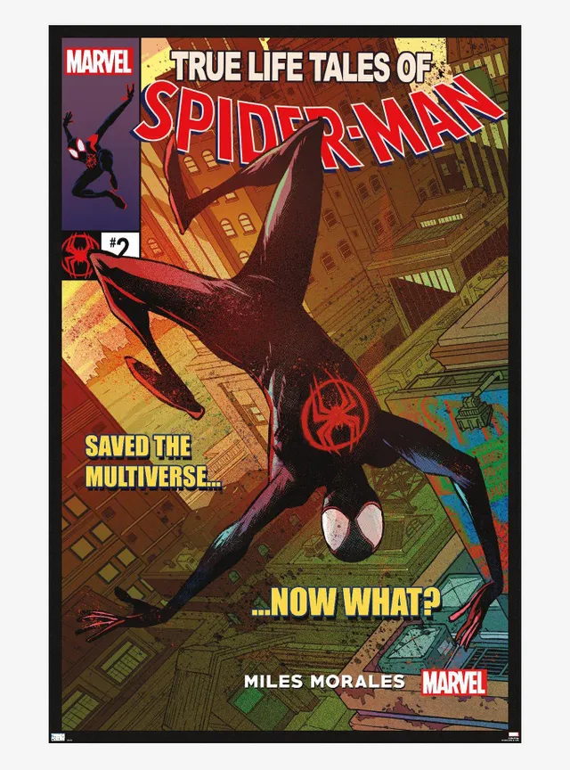 Hot Topic Marvel Spider-Man Miles Morales Comic Poster at Hamilton ...