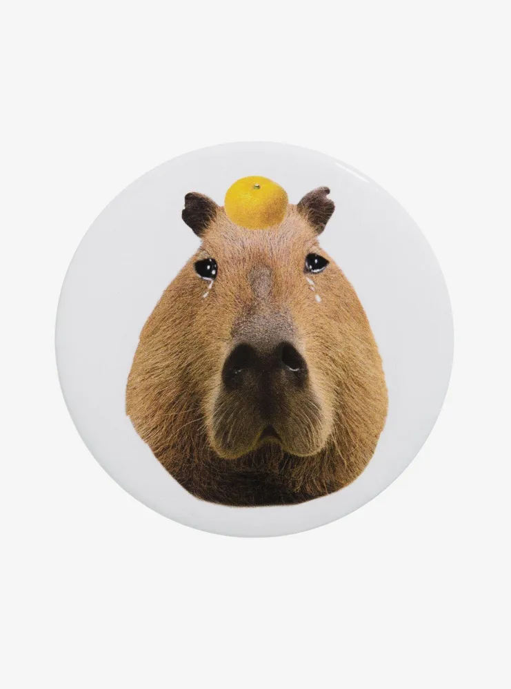 Hot Topic Crying Capybara 3 Inch Button | Hamilton Place
