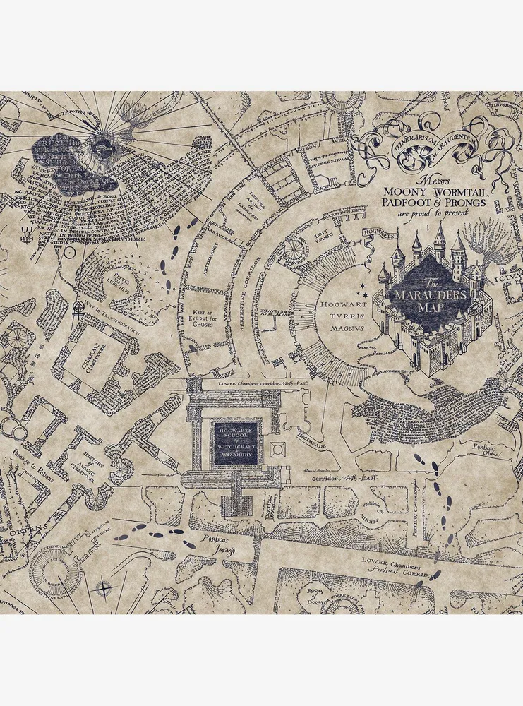 Harry Potter Marauder's Map Blue Peel & Stick Wallpaper | Mall of America®