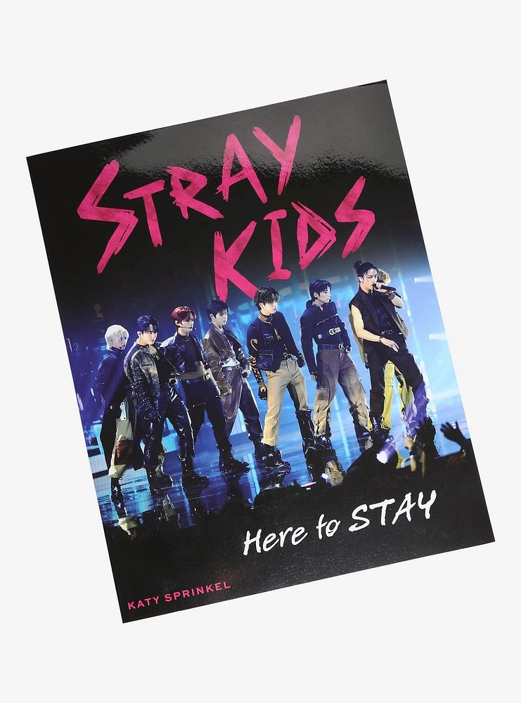 Hot Topic Stray Kids: Here To STAY Book | Hamilton Place