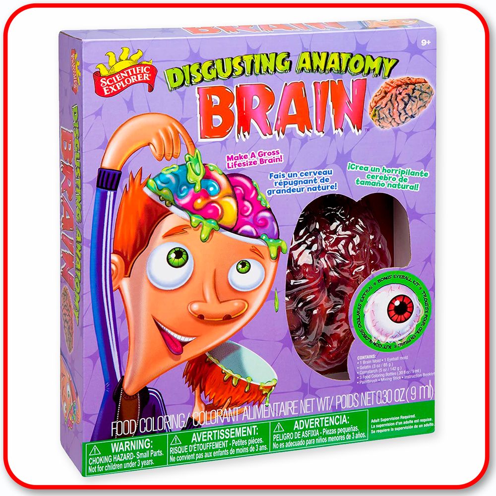 Alex Scientific Explorer - Disgusting Anatomy BRAIN | Bramalea City Centre