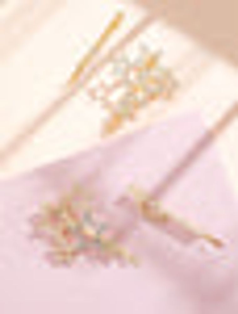 MINISO Star Hair Clip 1 Pair | Bramalea City Centre