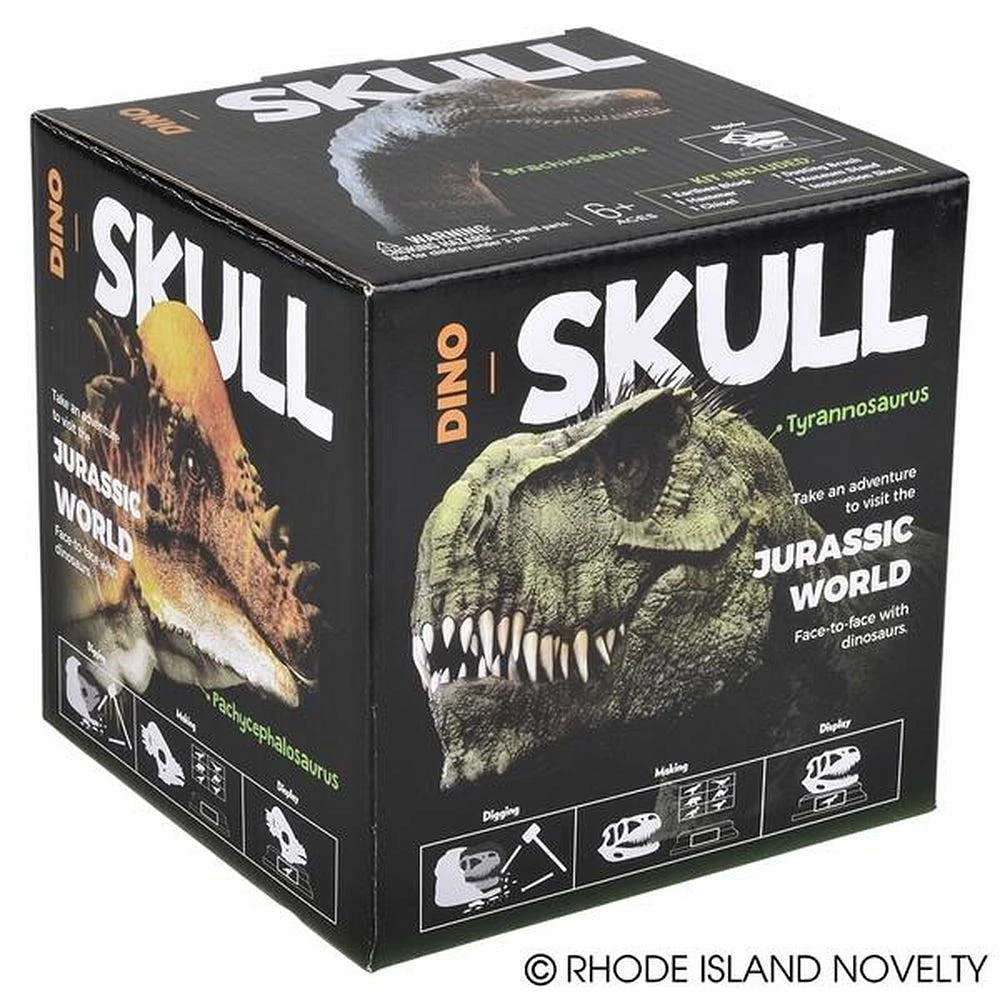 Adventure Planet 6.5" Dinosaur Skull Excavation Dig Kit Velociraptor at ...