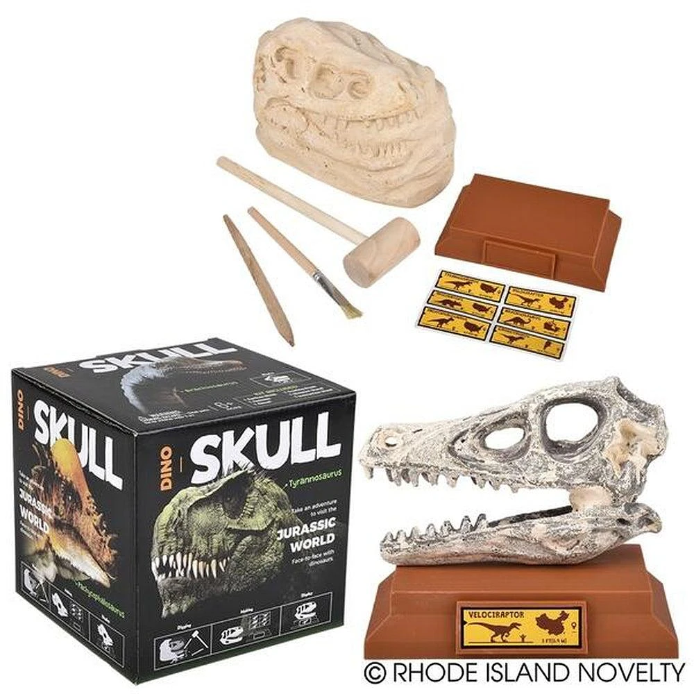 Adventure Planet 6.5" Dinosaur Skull Excavation Dig Kit Velociraptor at ...