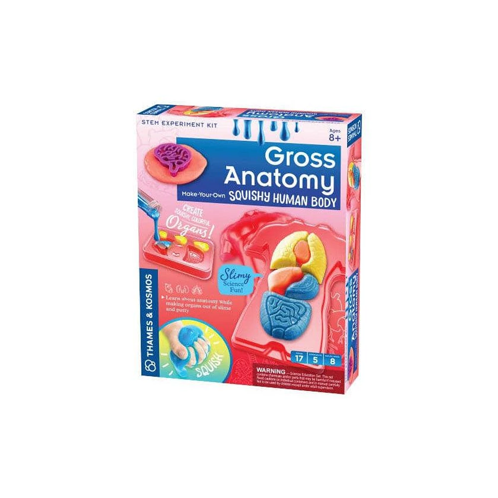 Thames & Kosmos Gross Anatomy: Make-Your-Own Squishy Human Body | Mall ...
