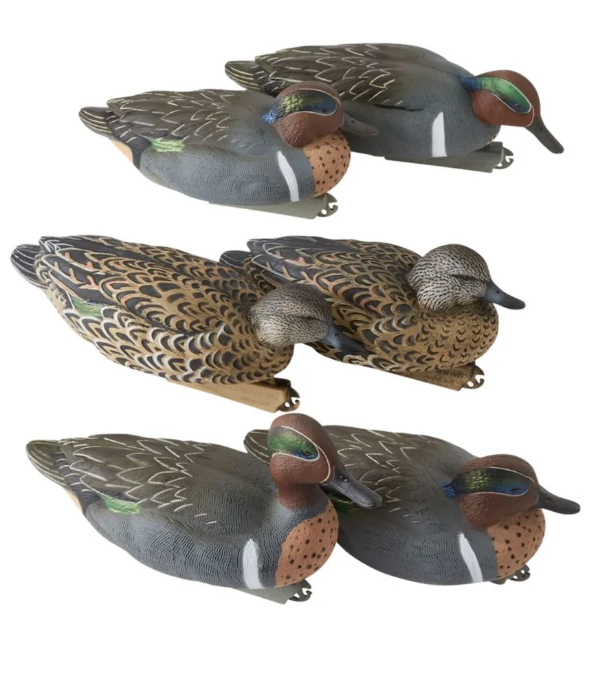 L.L. Bean Avery Pro-Grade Decoys, Green-Winged Teal 6-Pack | Mall of ...