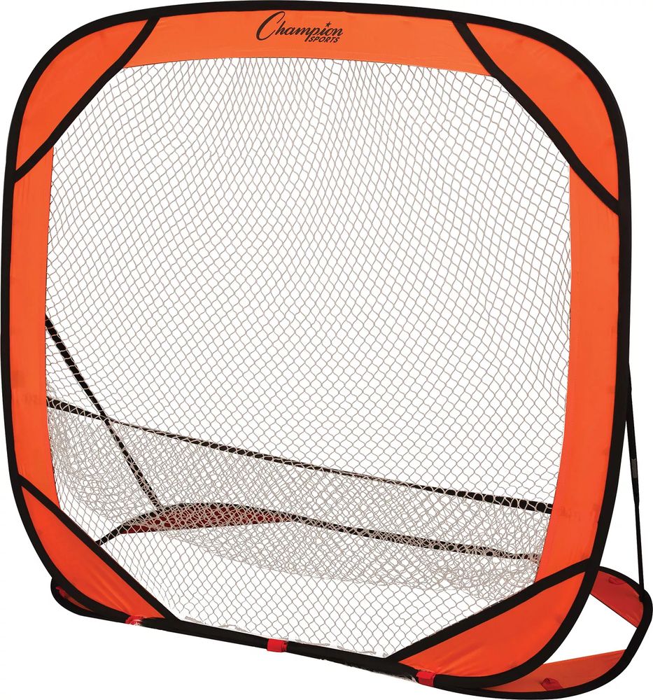 Dick's Sporting Goods Champion Multi Sport Target Net | Hamilton Place