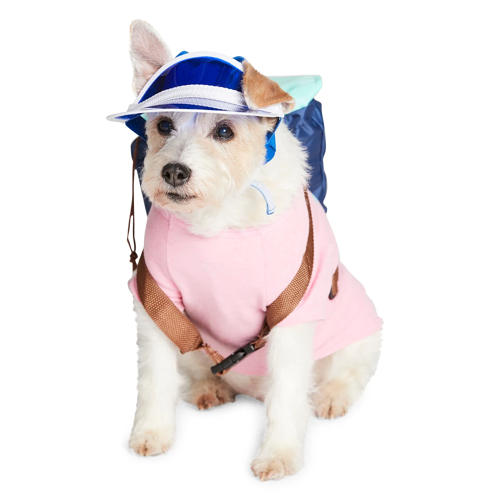 Five Below Translucent pet visor | Hamilton Place