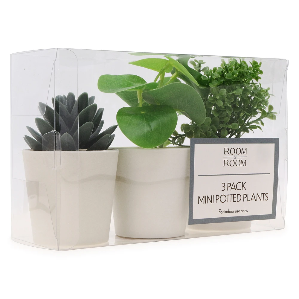 Five Below 3-pack mini faux house plants | Hamilton Place