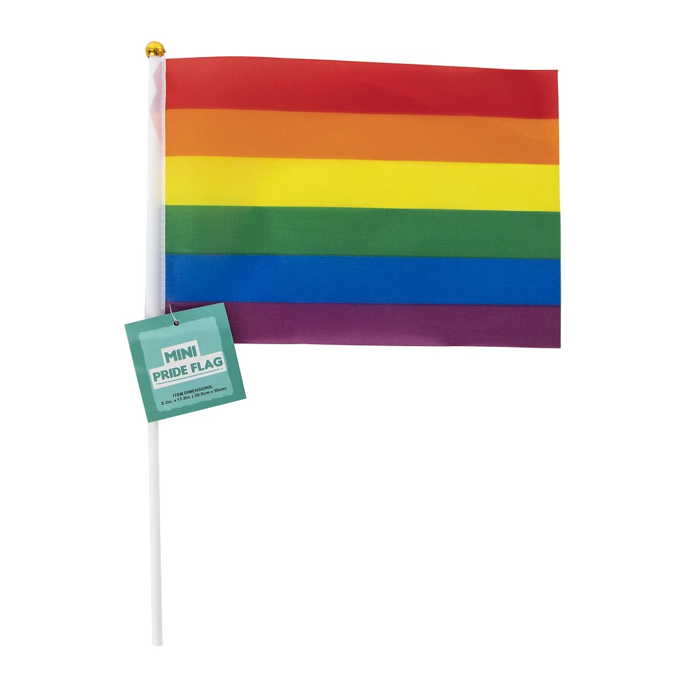 Five Below Mini rainbow pride flag 8.2in x 11.8in | Hamilton Place