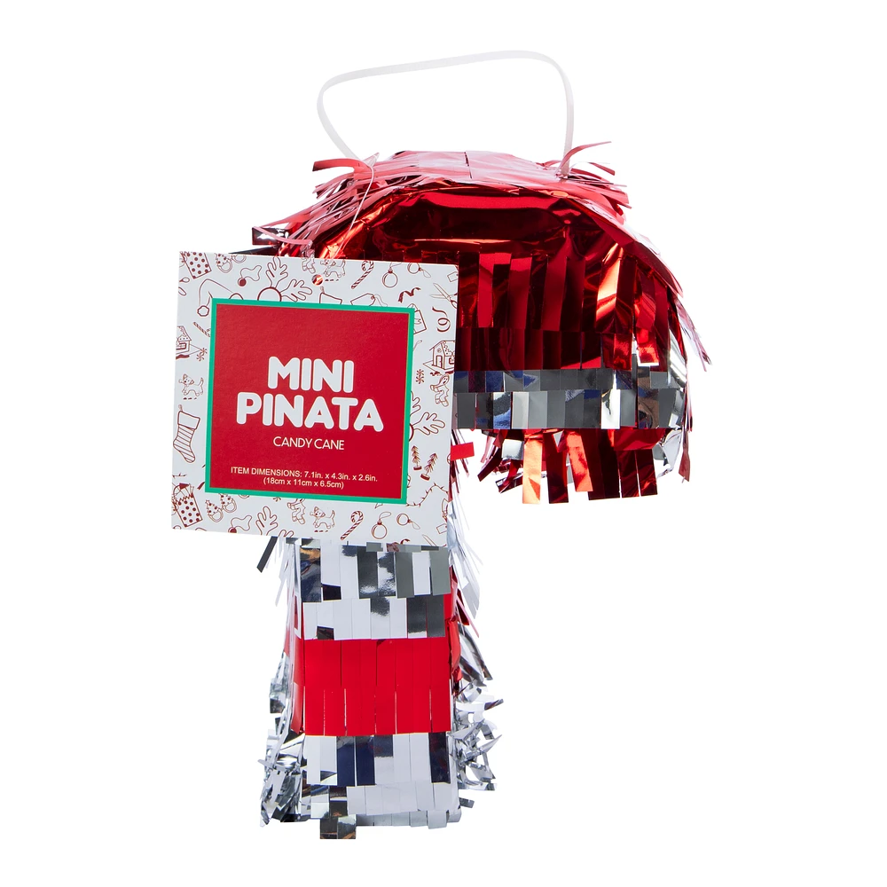 Five Below Mini holiday pinata | Hamilton Place