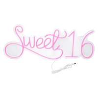 Five Below Sweet 16 Neon LED Light 24in x 9.4in | Hamilton Place