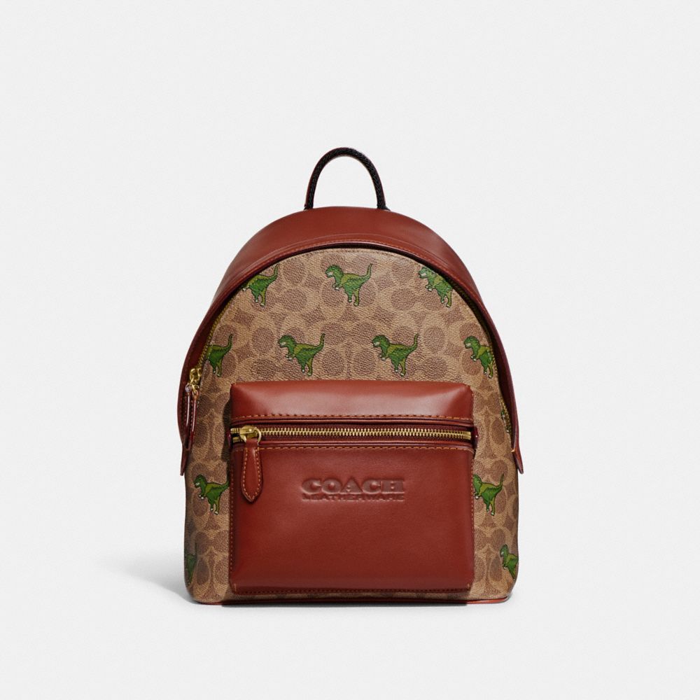 COACH® Charter Backpack 24 In Signature Canvas With Rexy Print | Mall ...