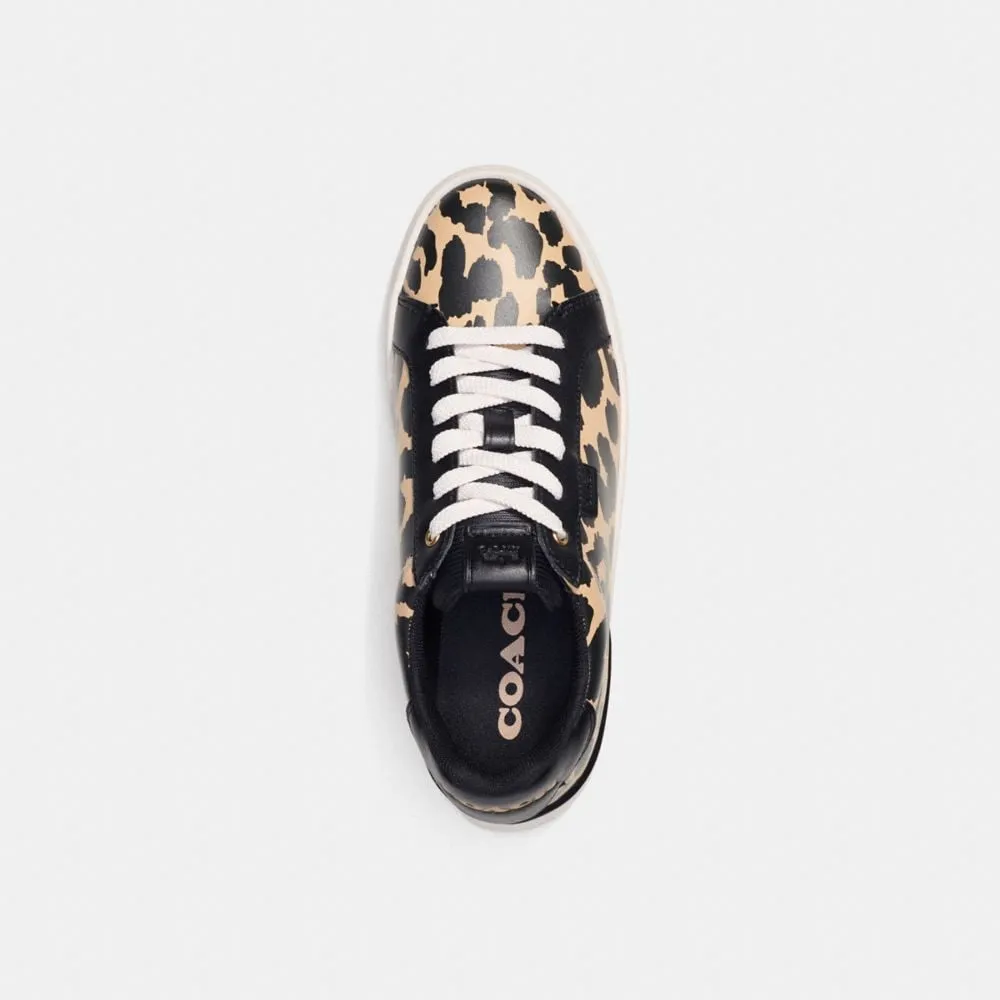 Coach Lowline Low Top Sneaker With Print | Mall of America®