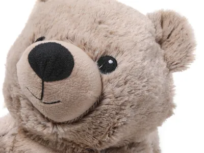 Warmies Teddy Bear Warming Stuffed Animal | Mall of America®