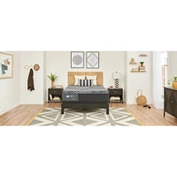 Sealy 9 inch Box Spring - Queen | Electronic Express | Hamilton Place