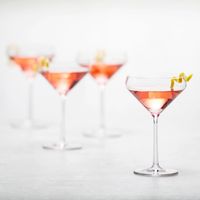 Kirklands Schott Zwiesel Pure Martini Glasses, Set of 6 | Hamilton Place