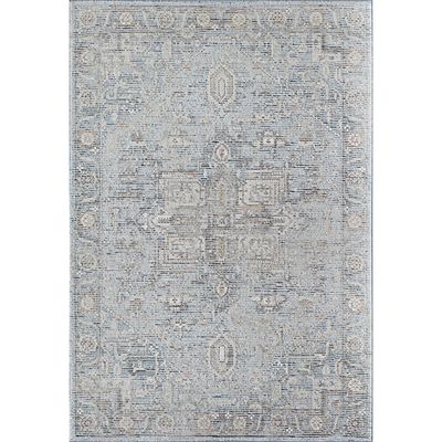 Kirkland's Linen Francis Medallion Area Rug, 8x10 | Hamilton Place