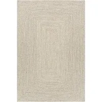 Kirkland's Cream Ridgecrest Indoor/Outdoor Area Rug, 8x10 | Hamilton Place