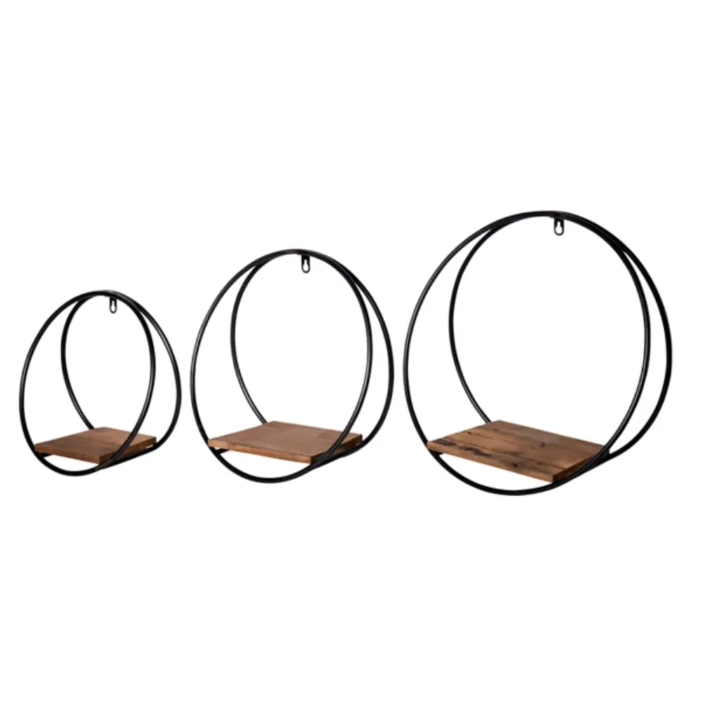 Kirkland's Round Metal Raised Frame Wall Shelves, Set of 3 | Hamilton Place