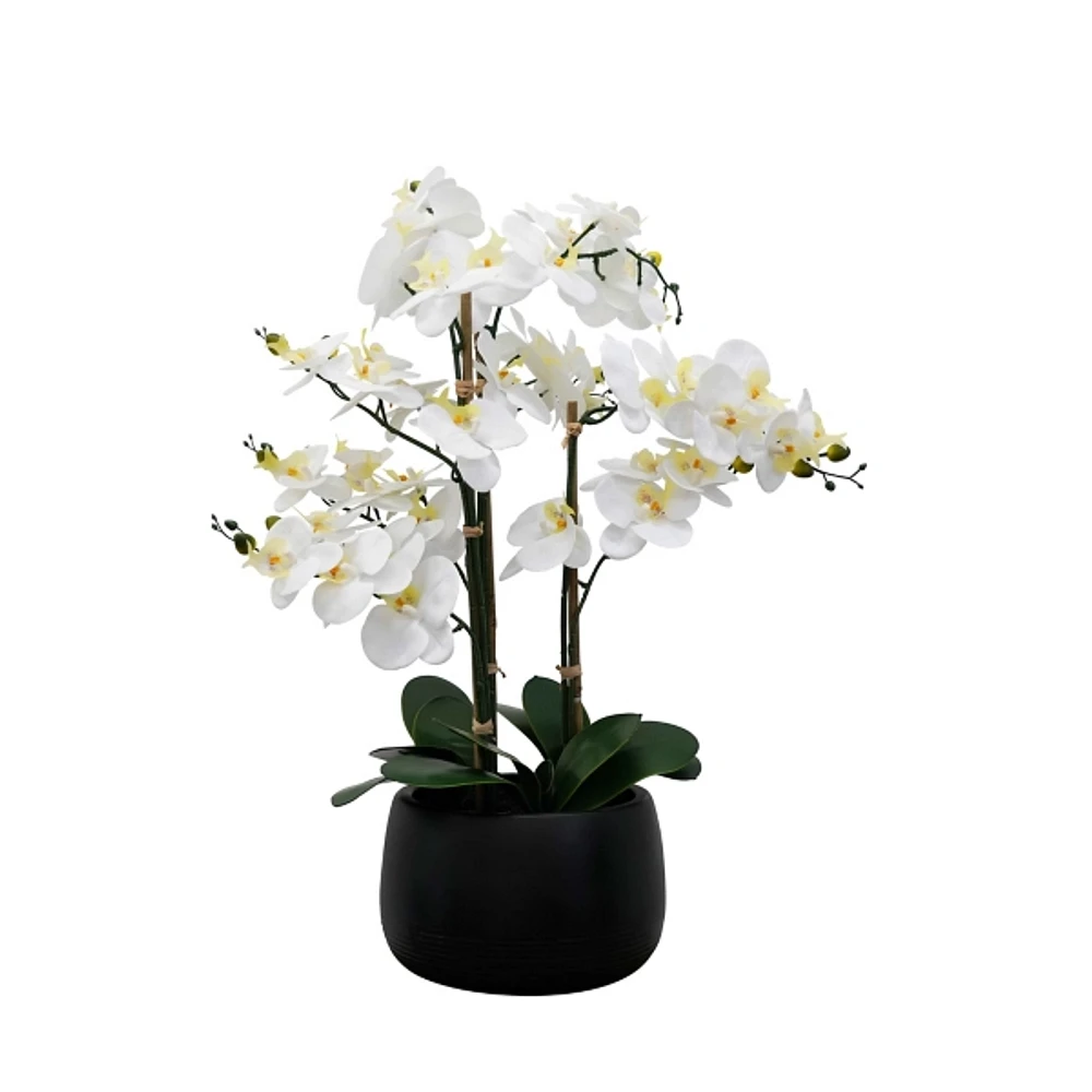 Kirklands White Real Touch Orchid Arrangement in Black Pot | Hamilton Place