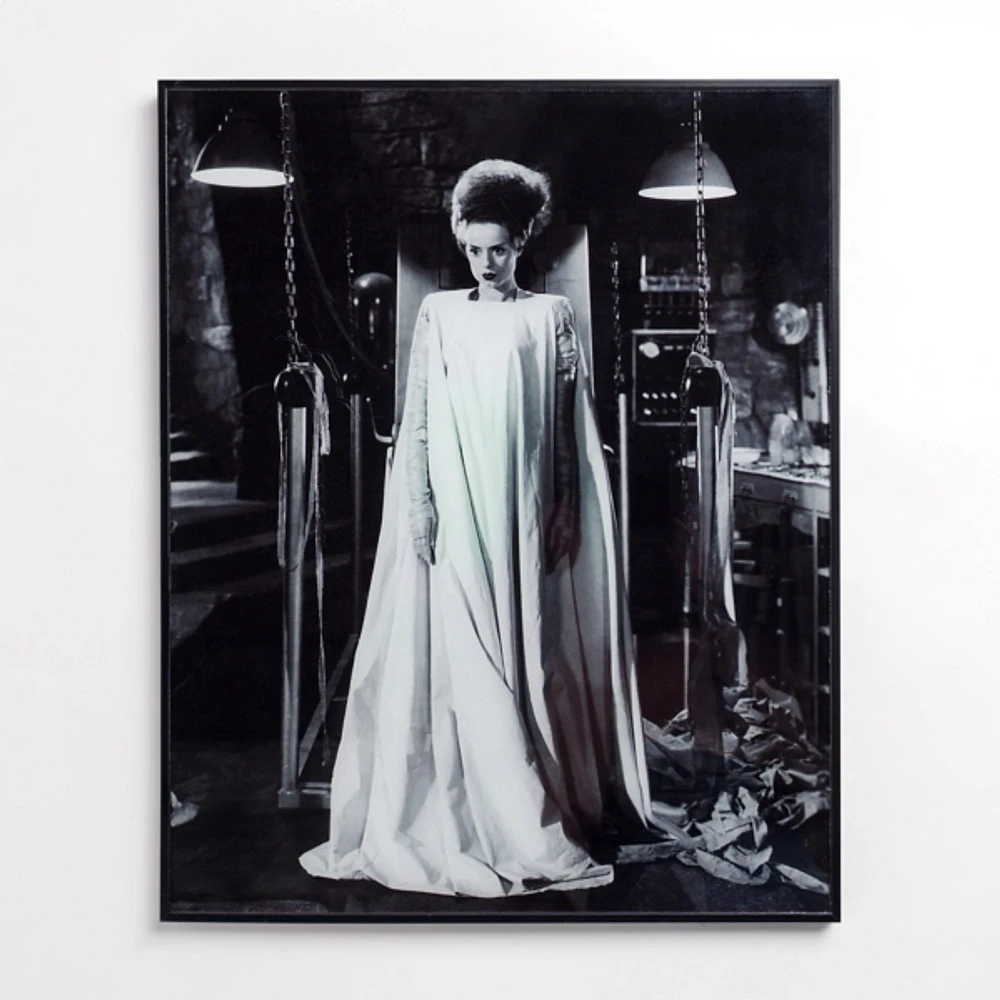 Kirklands Bride of Frankenstein Halloween Wall Plaque | Hamilton Place