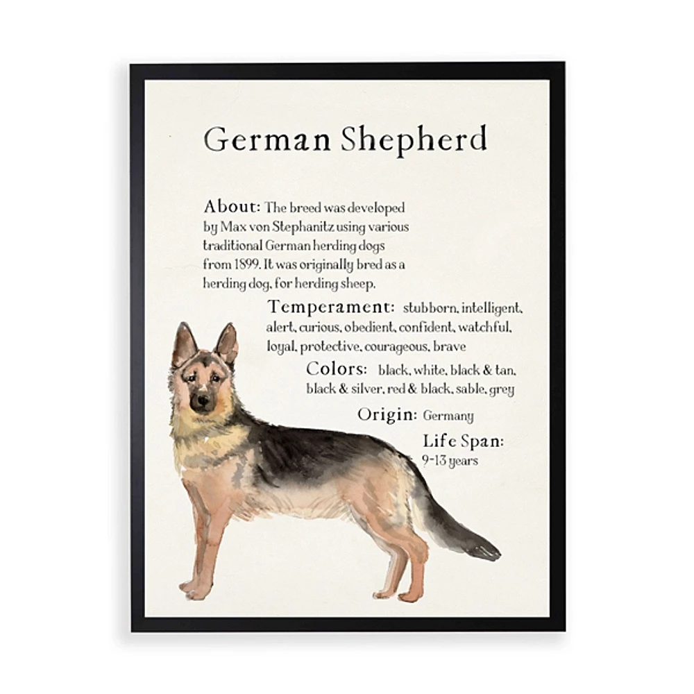 Kirklands German Shepherd Facts Framed Wall Plaque at Hamilton Place in ...