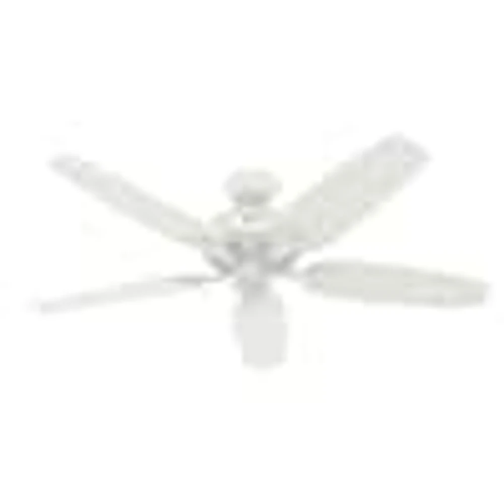 Easy Installation Ceiling Fan | Shelly Lighting
