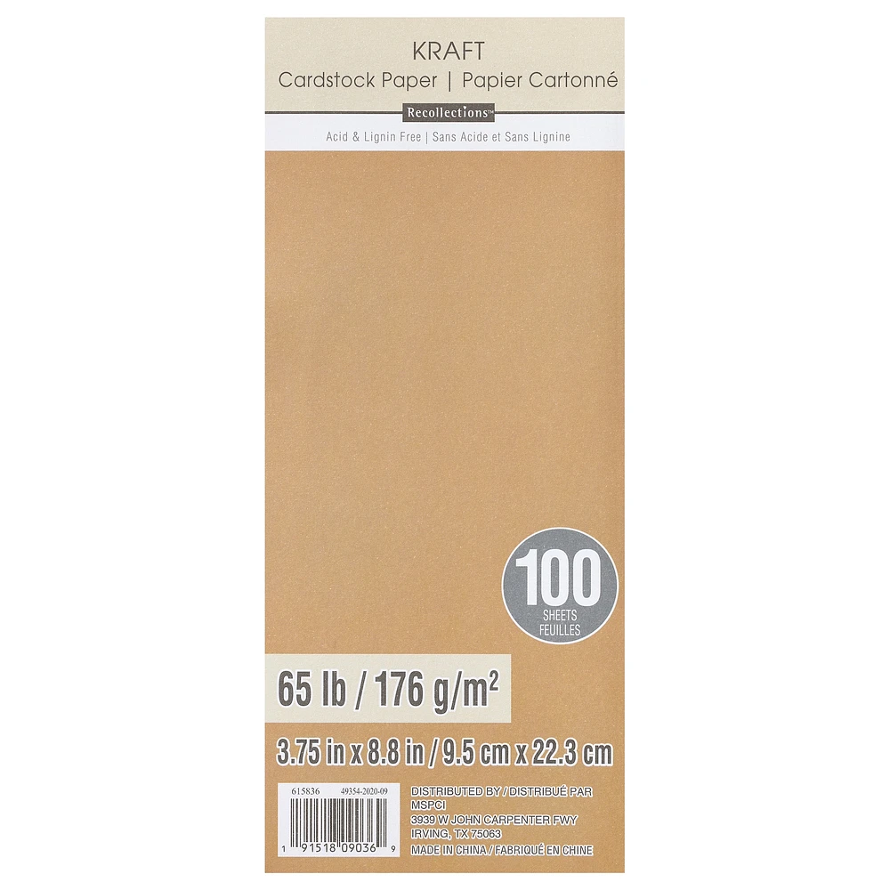 Recollections 12 Packs: 100ct. (1,200 total) Kraft 3.75" x 8.8 ...