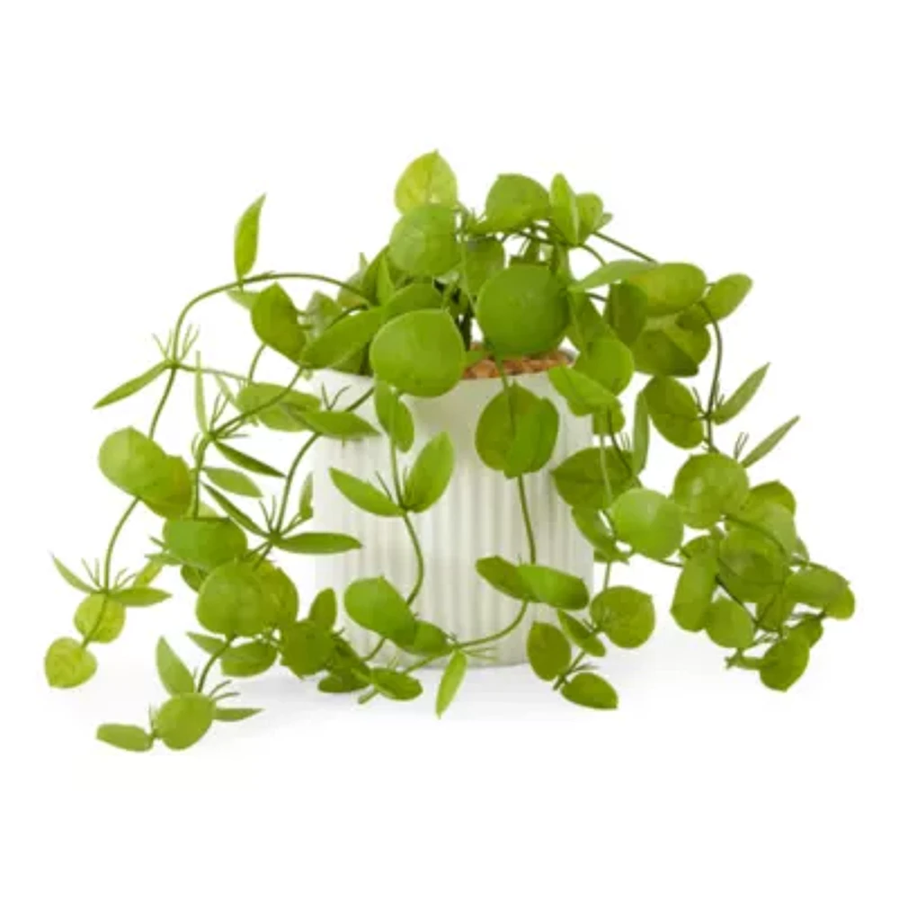 Linden Street Trailing Begonia Artificial Plant at Hamilton Place in ...