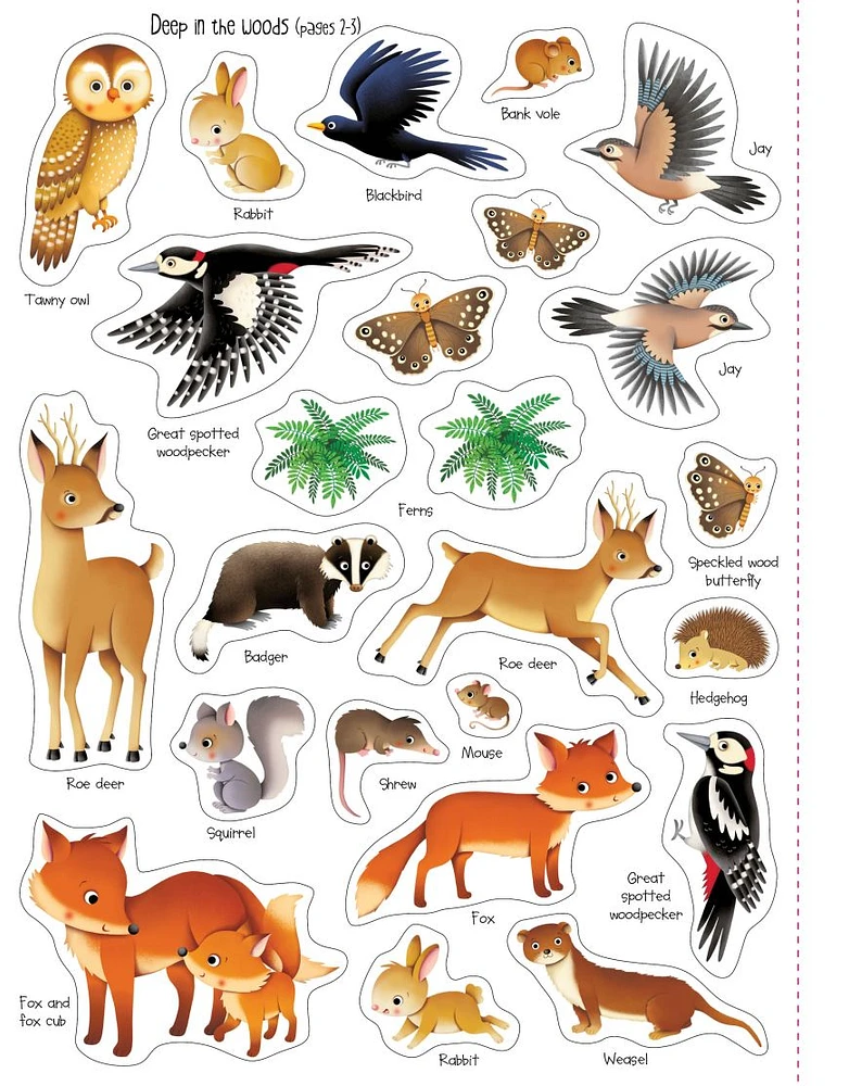 Usborne Books First Sticker Book Nature | Mall of America®