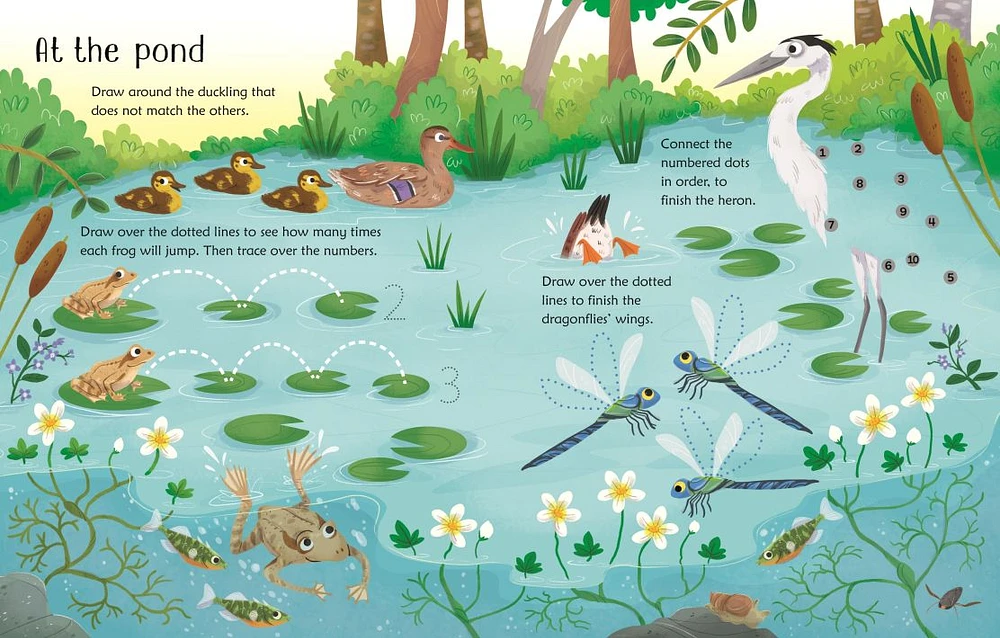 Usborne Books Wipe-Clean Woodland Activities | Mall of America®