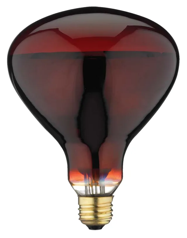 Halogen R40 Light Bulbs | Shelly Lighting