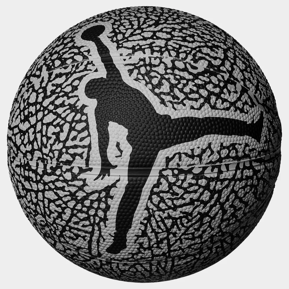 NIKE Jordan Skills Mini Basketball | Hamilton Place