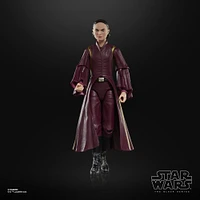 Hasbro Star Wars: The Black Series Star Wars: The Phantom Menace Padme ...