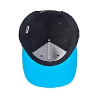 Concept One Sonic the Hedgehog Lenticular Brim Snapback Hat | Hamilton ...