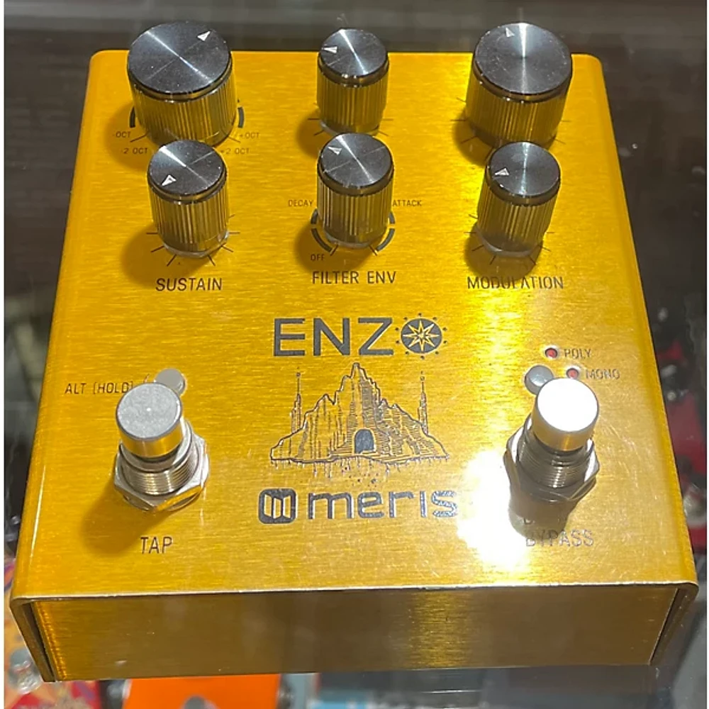 Meris Used Meris Enzo Effect Pedal | Hamilton Place