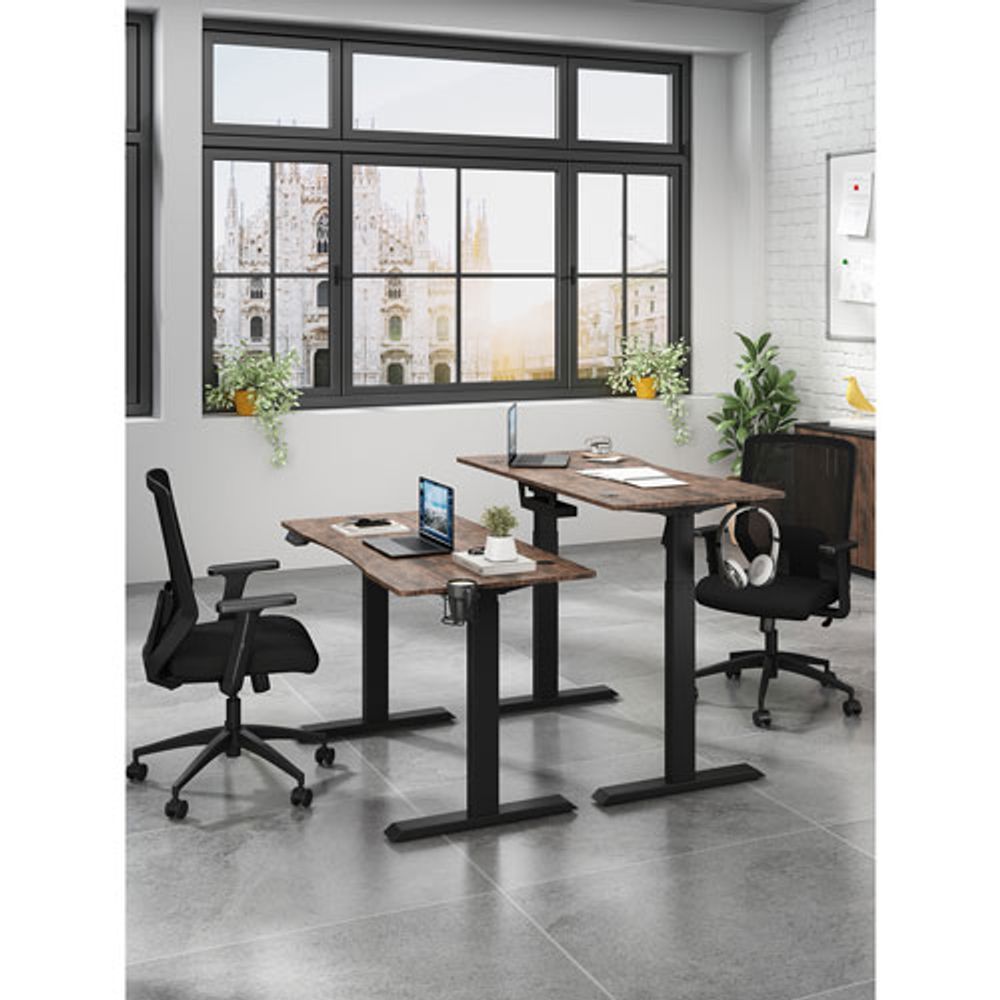 LjubLjana 53" Electric Height Adjustable Sit-Stand Desk - Wood ...