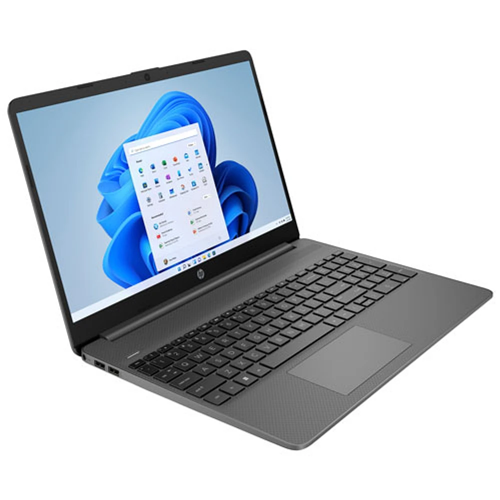 Hp grey laptop store