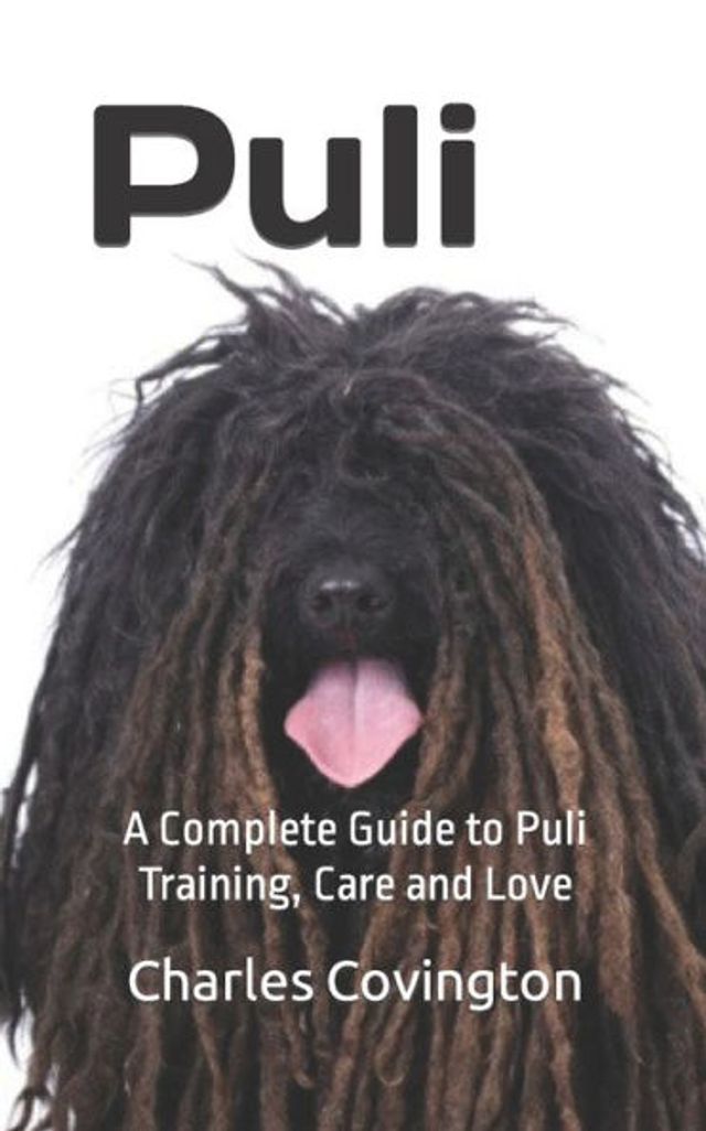 How Do You Care For A Puli Dog