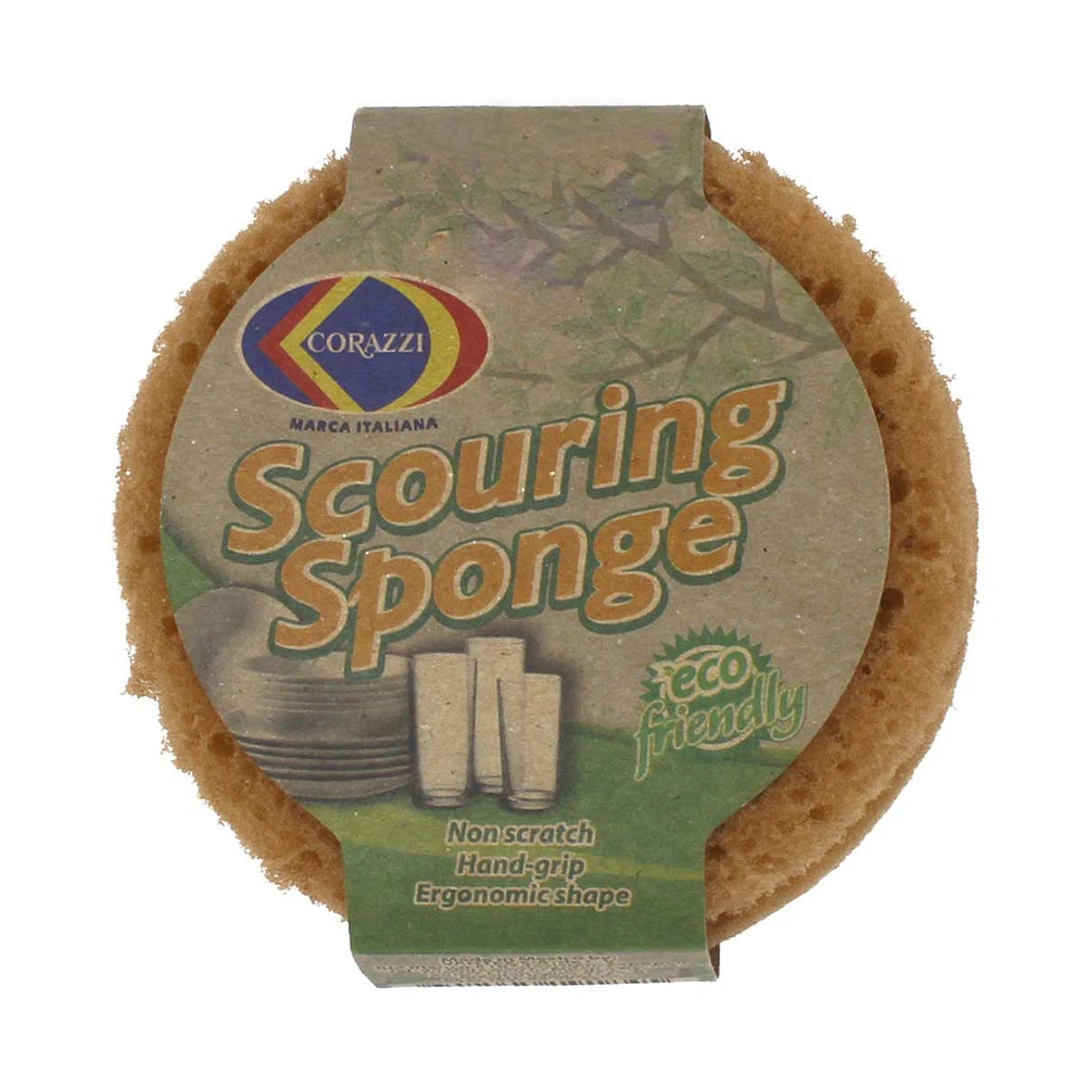 Corazzi Eco-Friendly Rounded Non-Scratch Sponge, 1 Pack | Hamilton Place